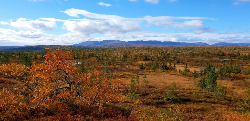 Blefjell - Hyttetur på Blefjell med bybobilen | Bobilreiser - Bobilblogg