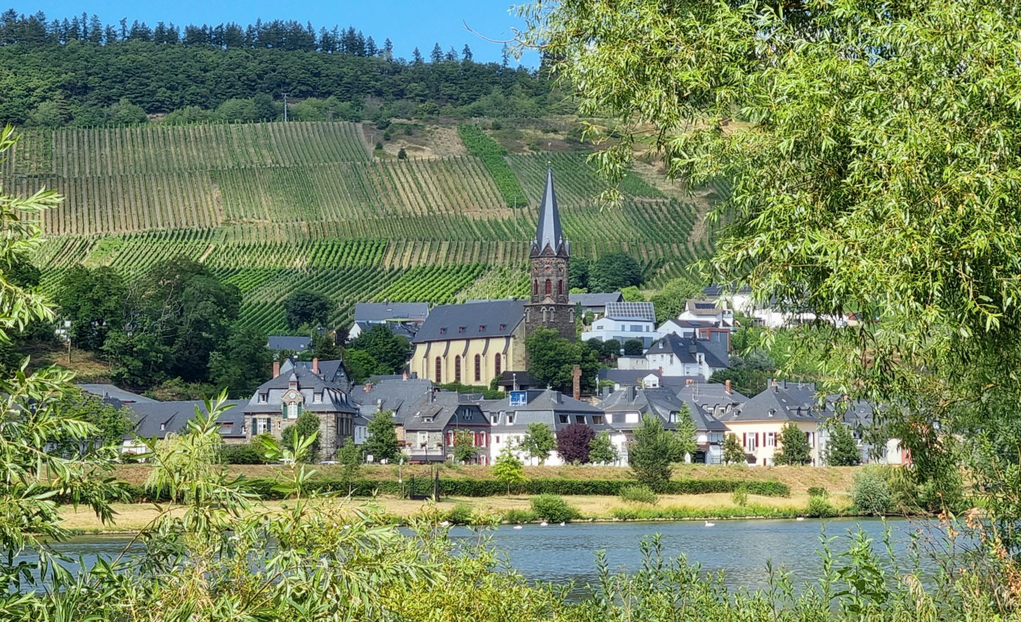 Med bobil i Moseldalen med sykkeltur til Bernkastel Kues | Bobilreiser
