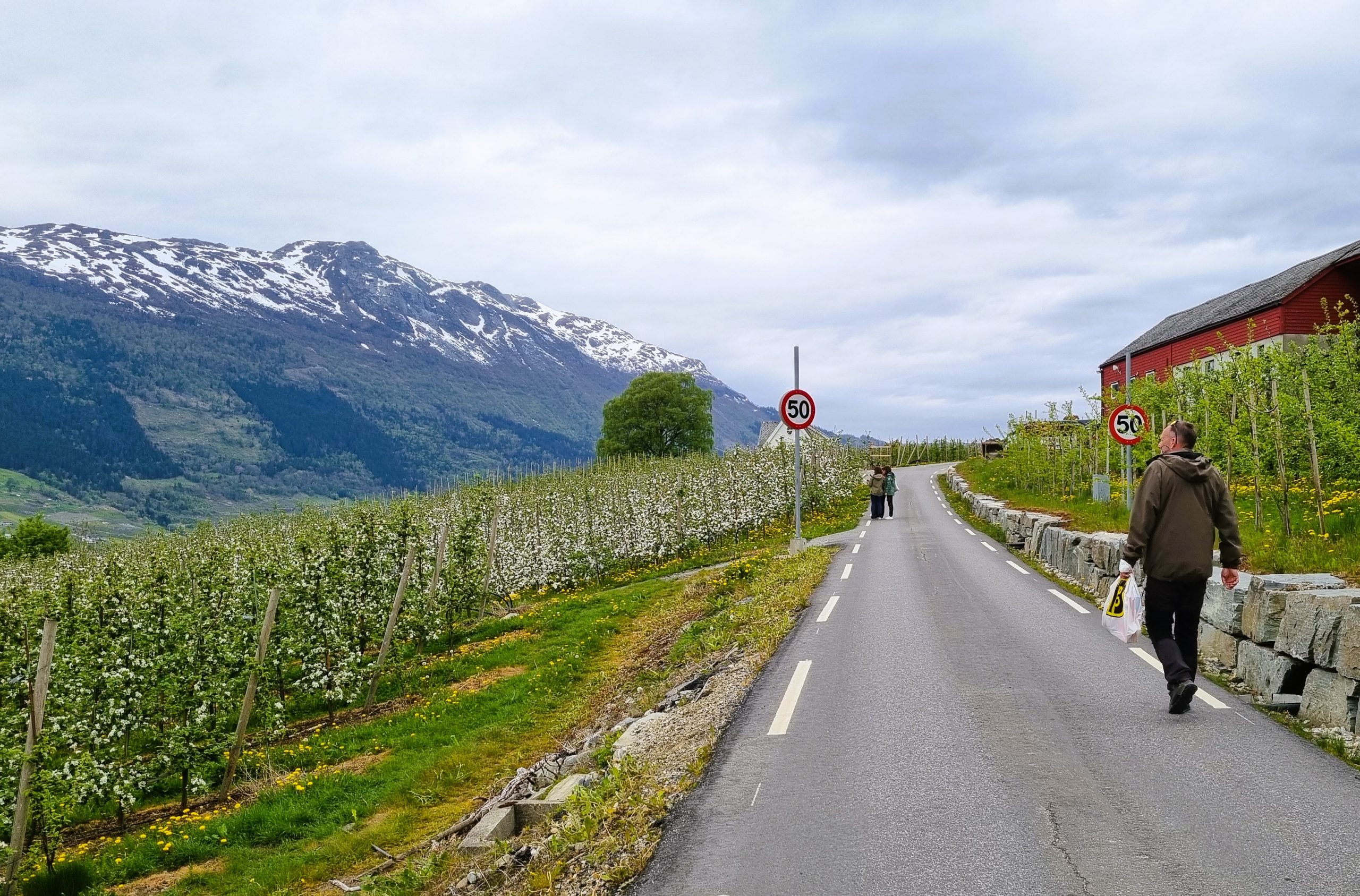 Vakre Lofthus i Hardanger med bobil | Bobilreiser